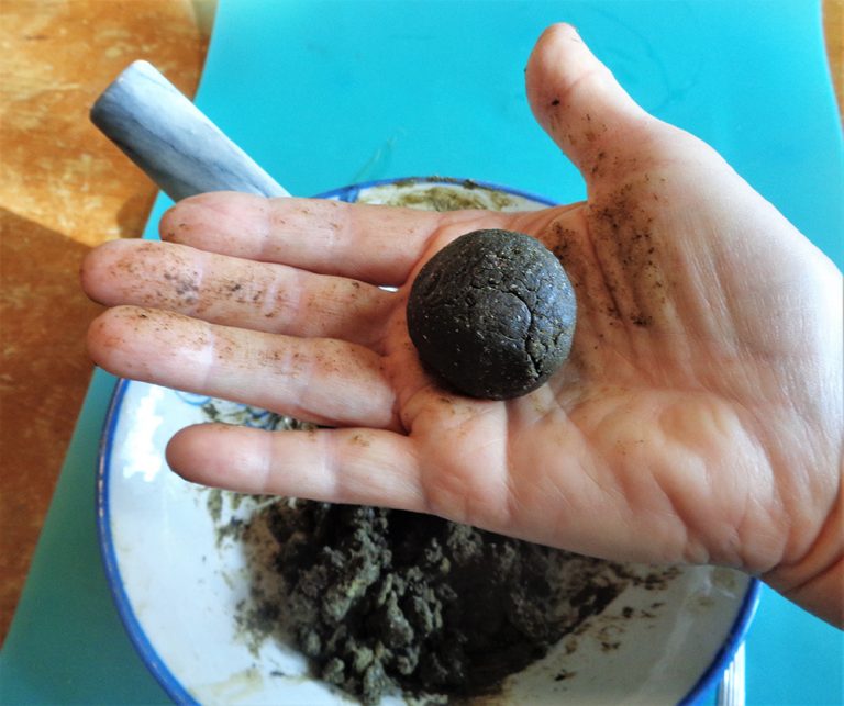 Making Honey Pills: Doing Chinese Medicine - Pacific College