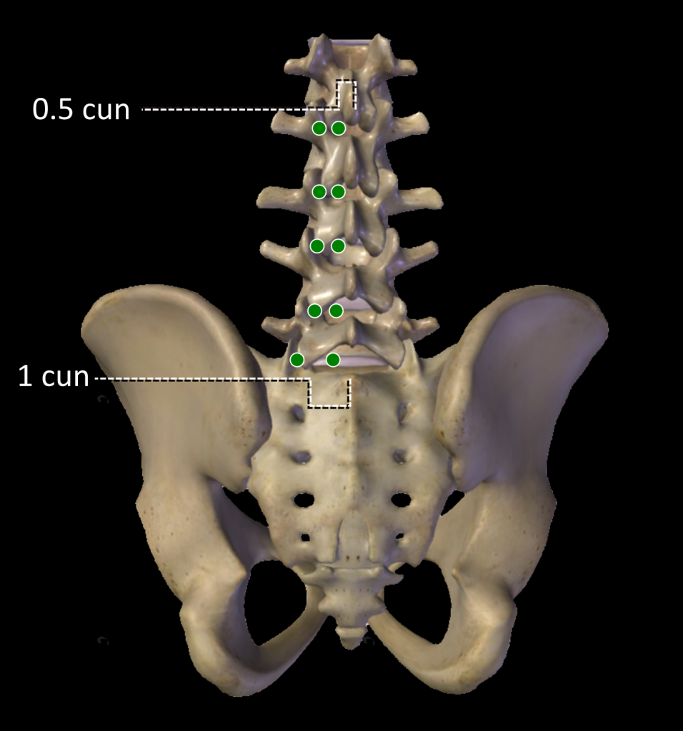 A Channel Perspective on Thoracolumbar Junction Syndrome - Pacific College