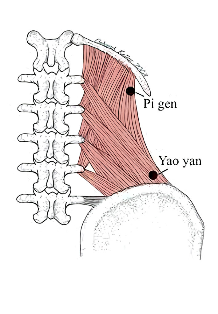 Pigen Acupuncture Point for Low Back Pain Relief