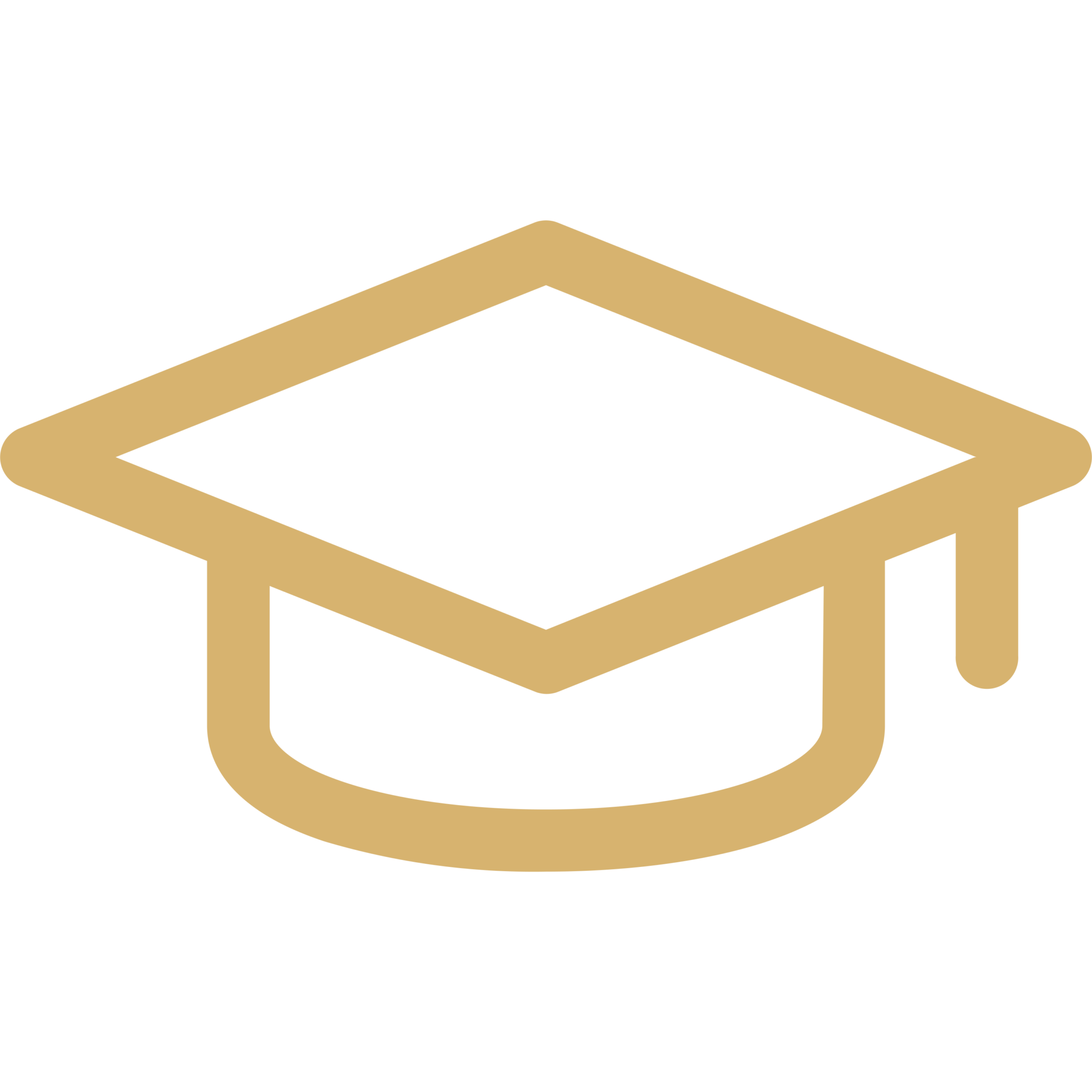 Hybrid Pre-Licensure Bachelor of Science in Nursing Program